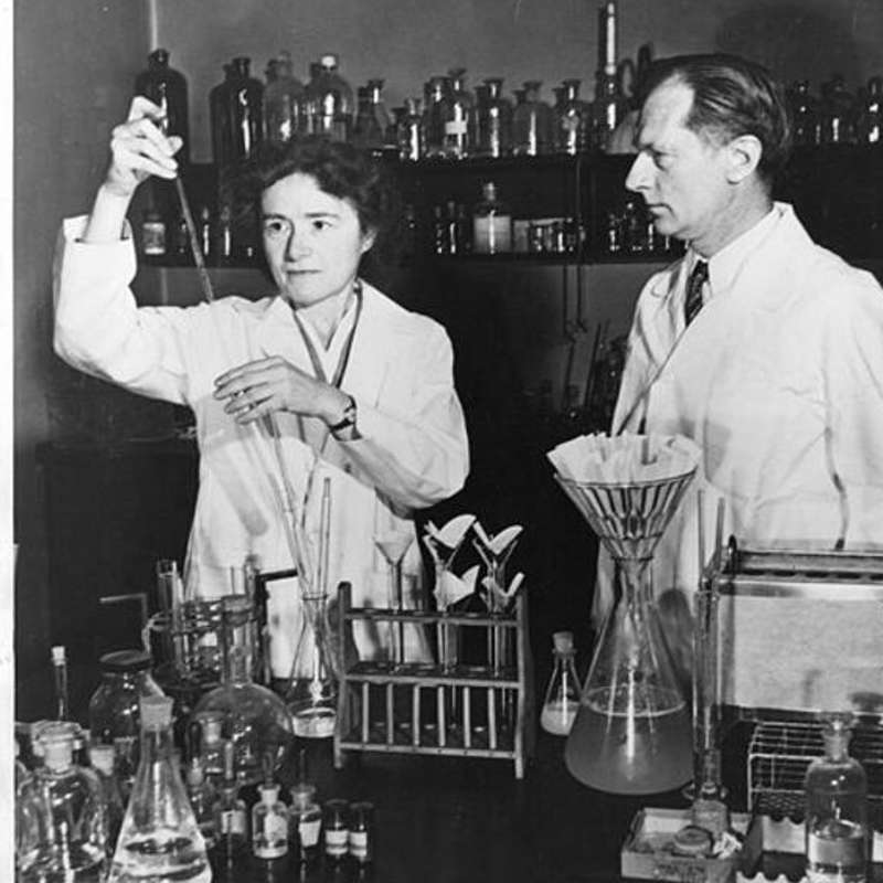 Nettie Stevens, la bióloga que descubrió los cromosomas X e Y