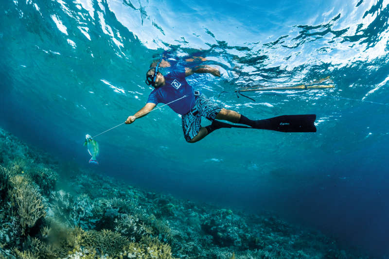 Tablas De Buceo Para Pesca De Curricán Relacionadas Tiendas De Pesca