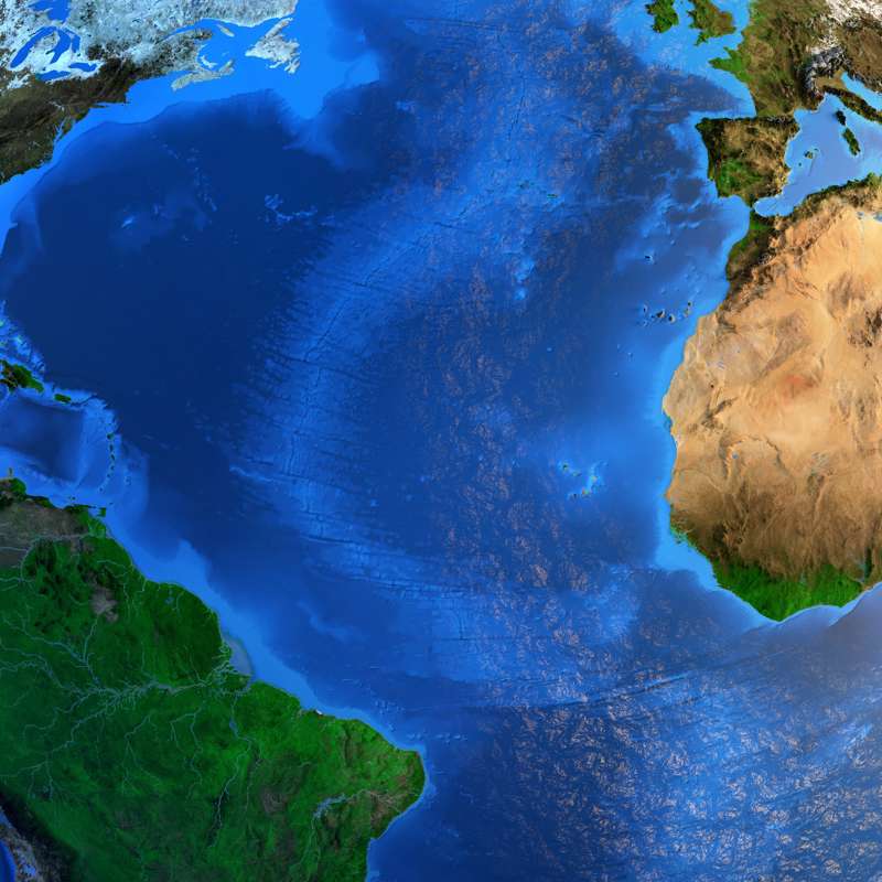 La fascinante biología de la rata topo desnuda