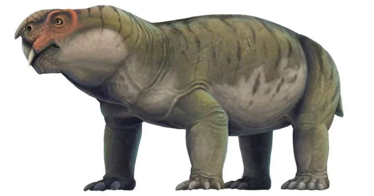 Este extraño animal prehistórico revela cómo era el cerebro de los ...