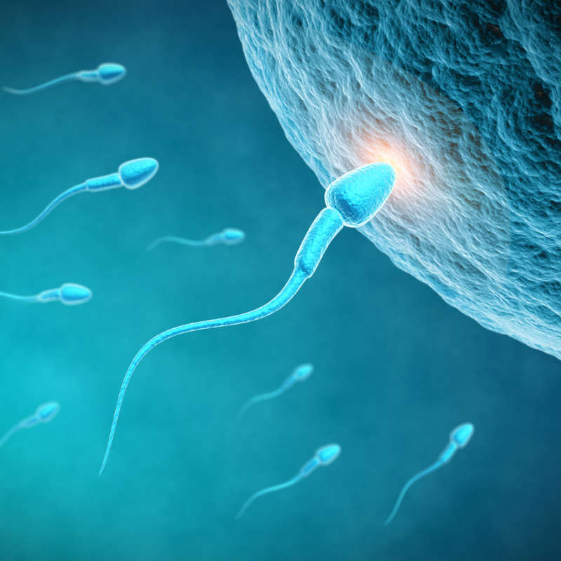 Reportajes y fotografías de Reproducción en National Geographic