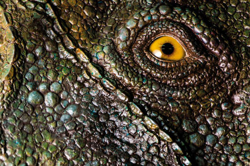 El mayor dinosaurio encontrado en Europa está en Teruel