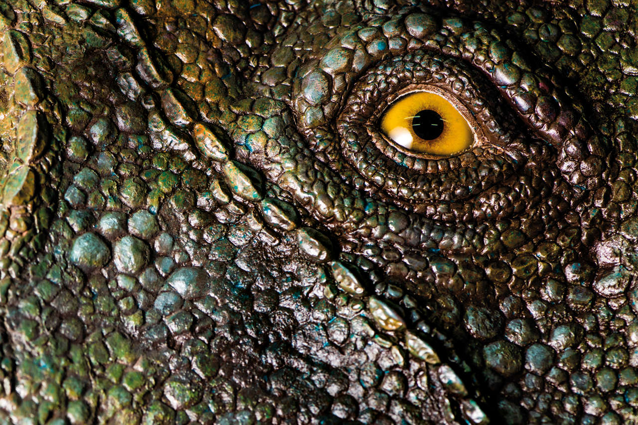 El mayor dinosaurio encontrado en Europa está en Teruel