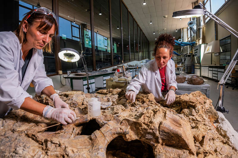 El mayor dinosaurio encontrado en Europa está en Teruel