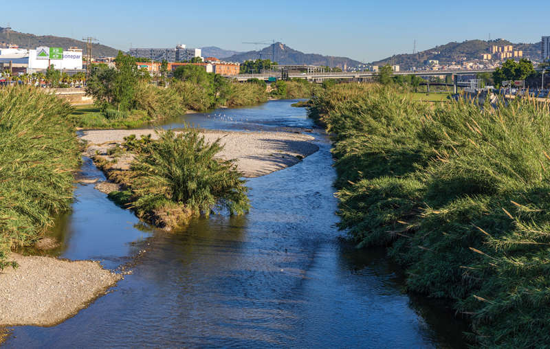 Besós, el renacer de uno de los ríos más contaminados de Europa