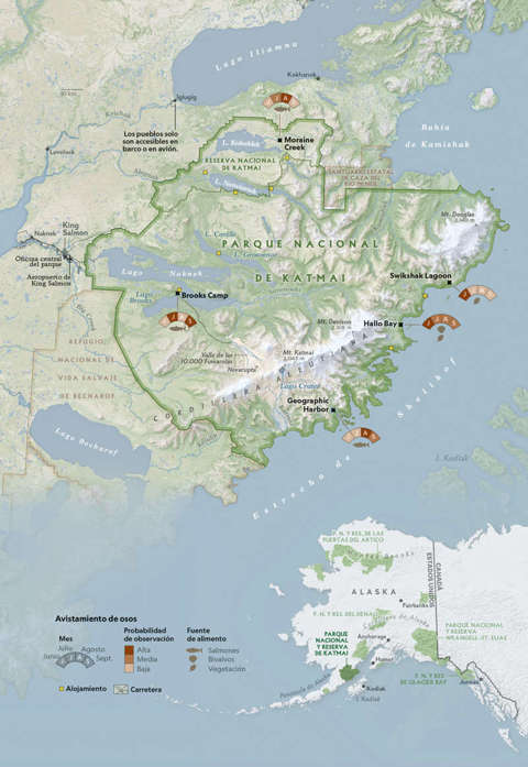 El paraíso del oso pardo está en Alaska