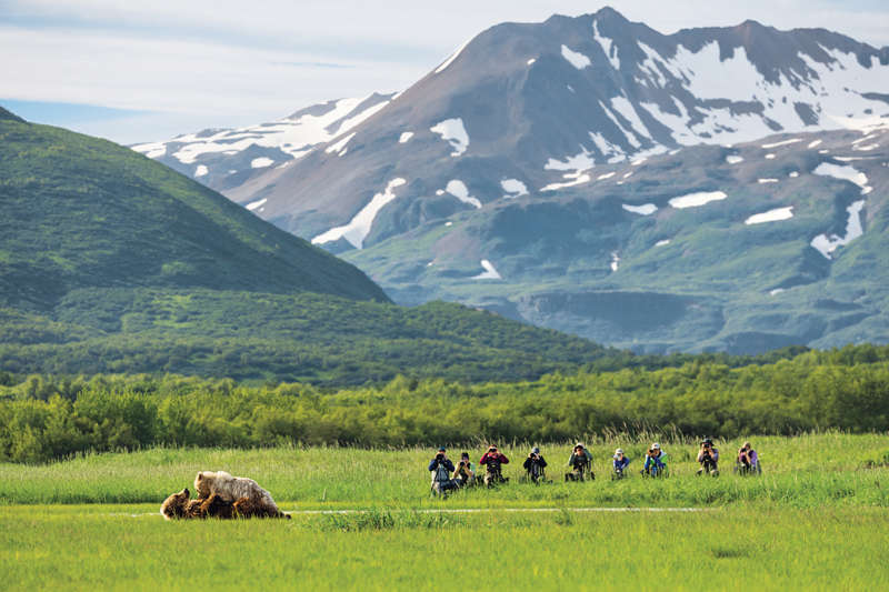 El paraíso del oso pardo está en Alaska