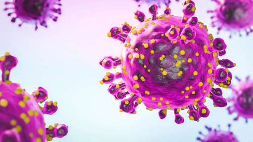 Reportajes y fotografías de Virus en National Geographic