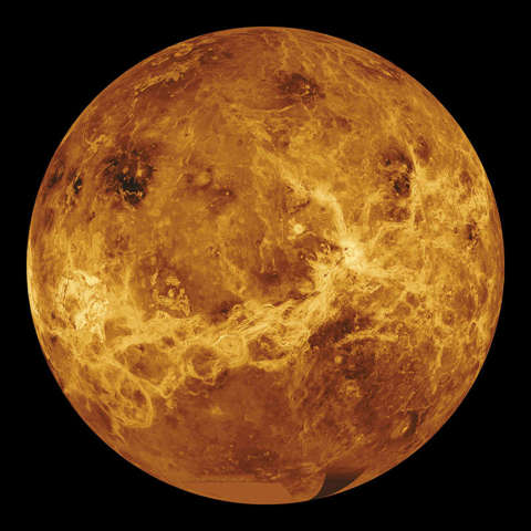 Reportajes y fotografías de Venus en National Geographic