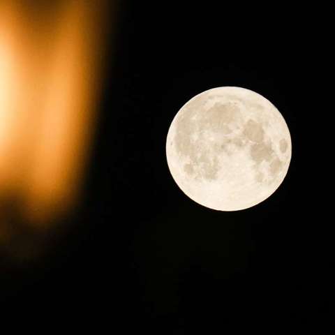 Reportajes y fotografías de Luna en National Geographic