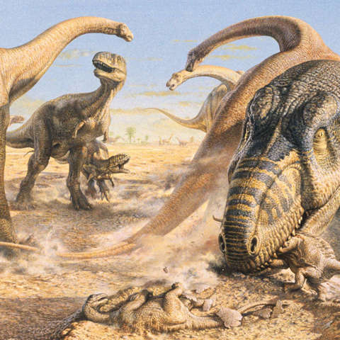 Así surgieron las primeras aves a partir de los dinosaurios con plumas