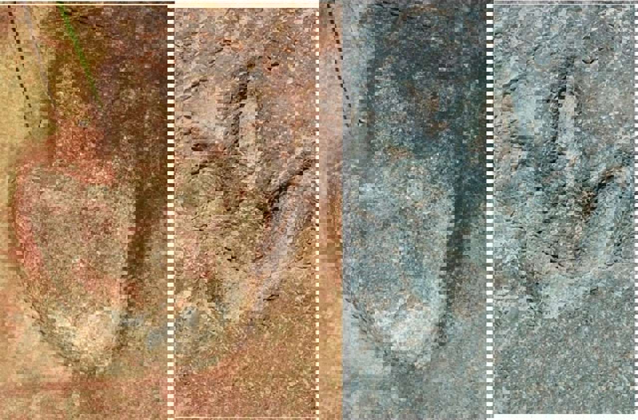 Encuentran huellas de dinosaurios idénticas a ambos lados del Atlántico