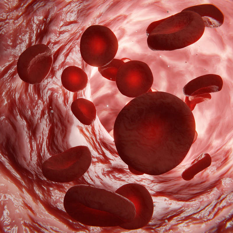 No, el consumo del alcohol, aunque sea moderado, no es beneficioso para ...