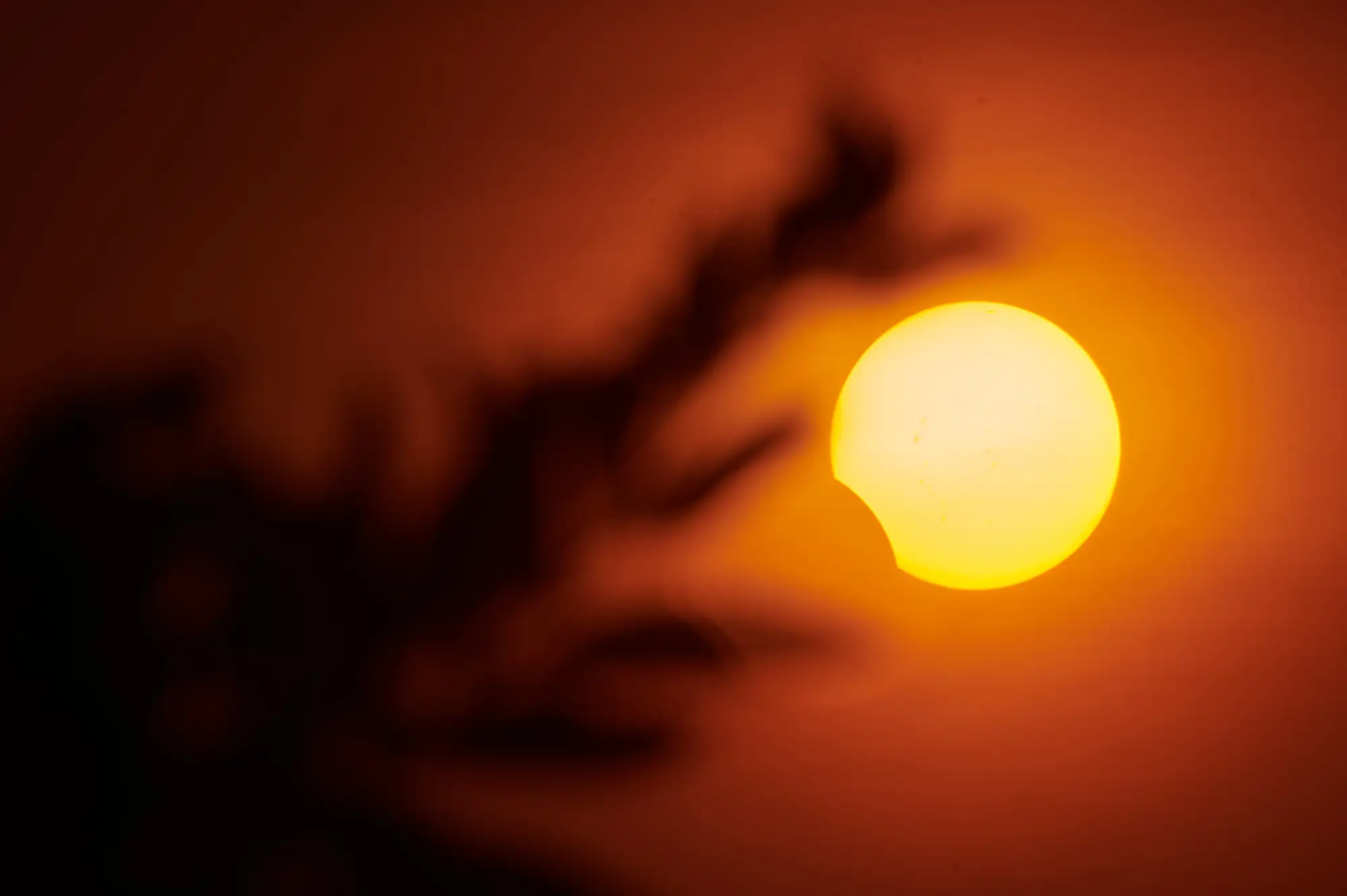 Así se vio el eclipse solar anular de octubre de 2024: las mejores fotos del evento