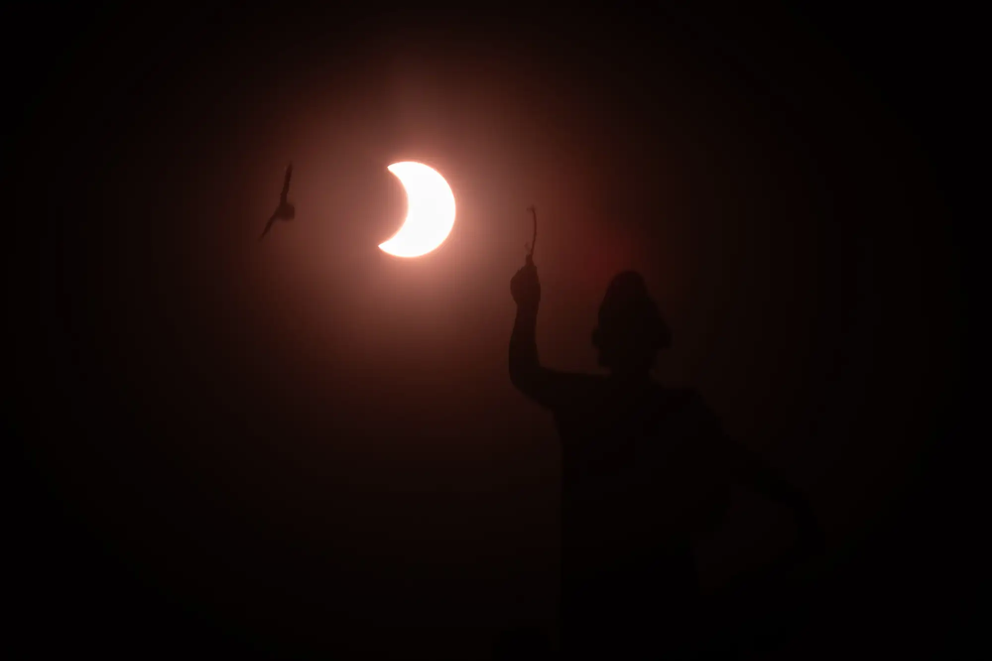Así se vio el eclipse solar anular de octubre de 2024: las mejores fotos del evento