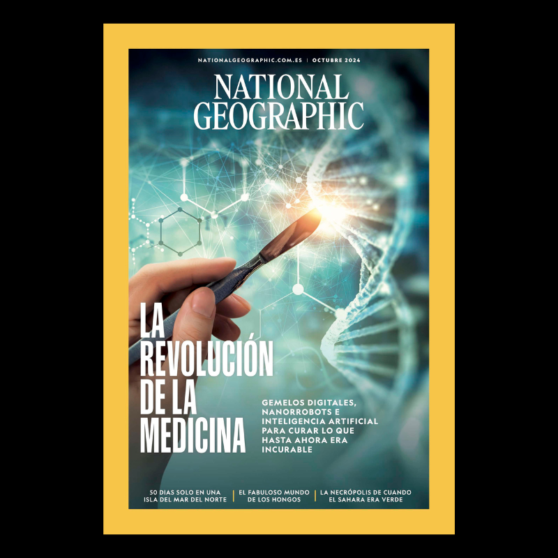 La revolución de la IA en la medicina: AlphaFold y el Nobel de Química 2024