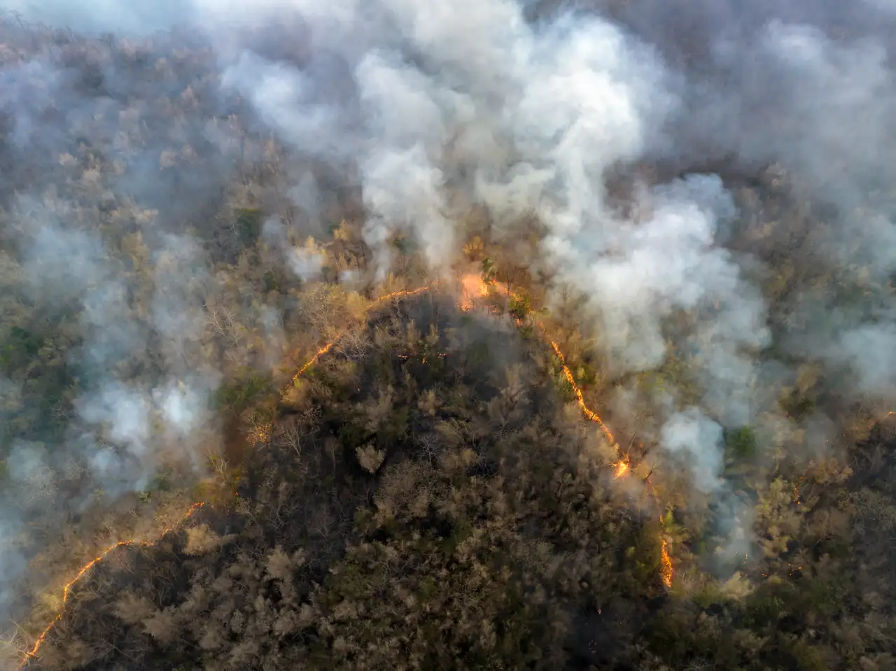 La mayor parte de los incendios en el Amazonas siguen siendo provocados