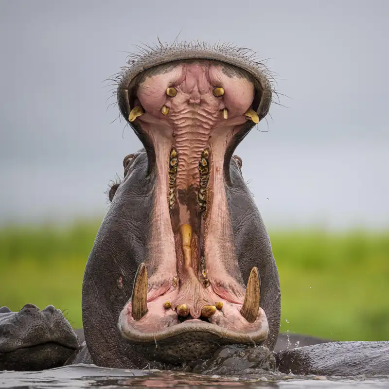 ¿Cómo conseguir el encuadre perfecto?