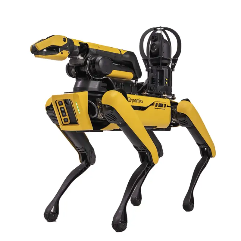 Reportajes y fotografías de Inteligencia Artificial en National Geographic