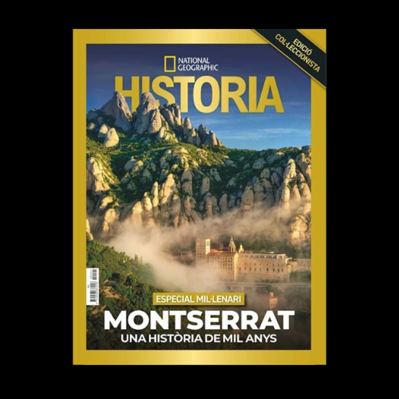 Qué es el Mosad y cuáles son sus funciones en Israel