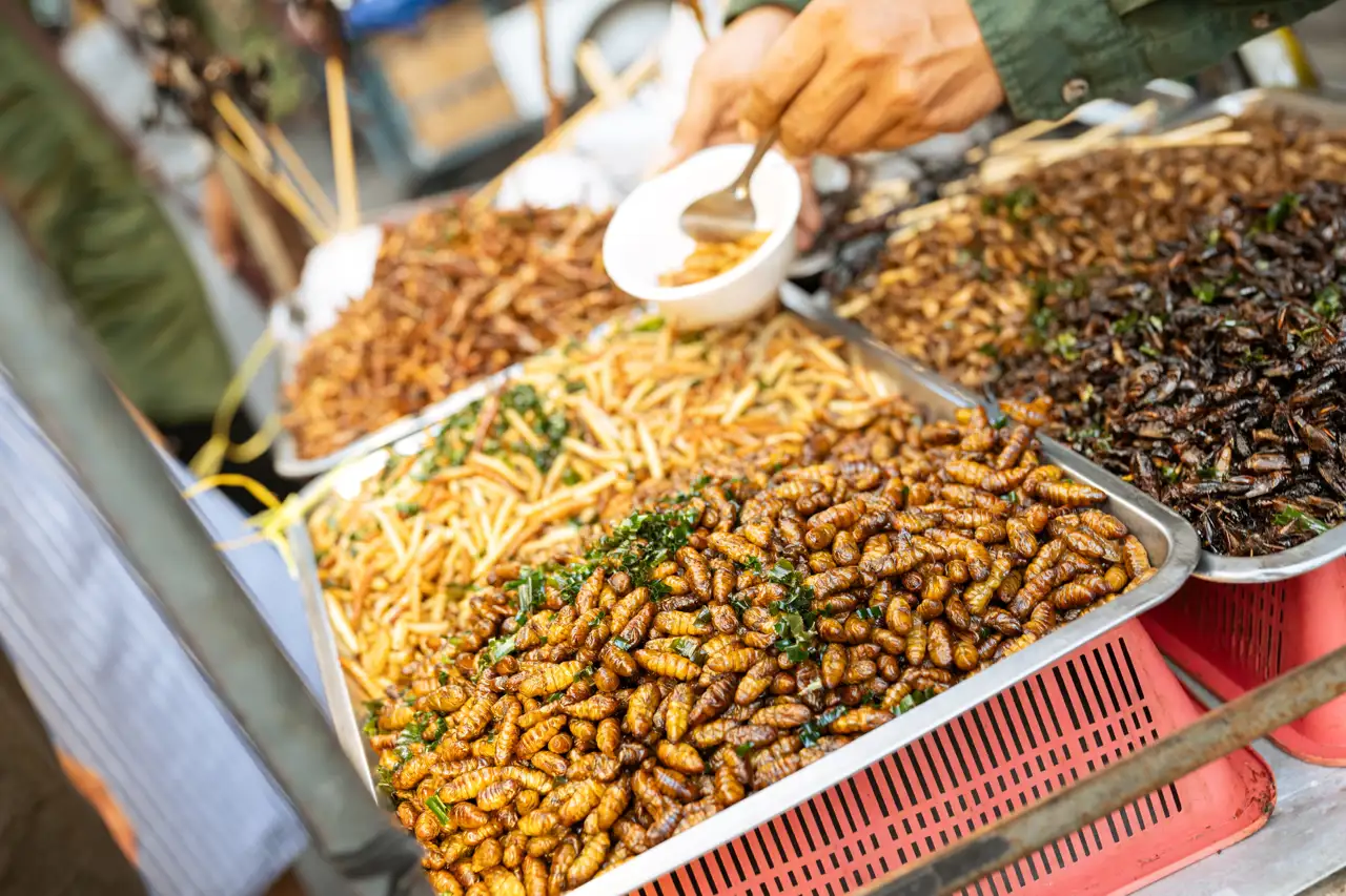 ¿Son los insectos el alimento del futuro?