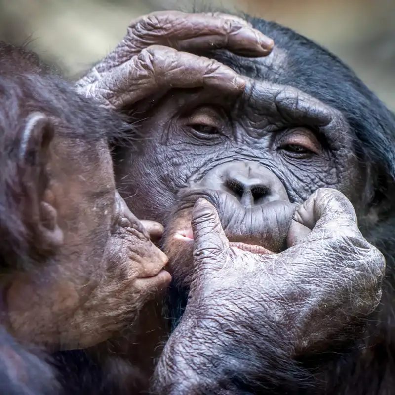 10 magníficas fotografías premiadas en el World Sports Photography Awards