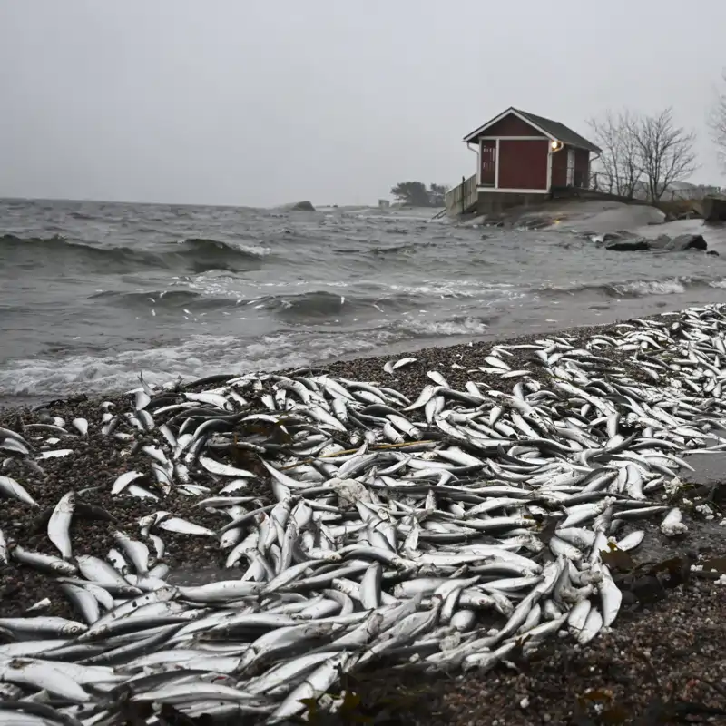 ¿Cómo conseguir el encuadre perfecto?