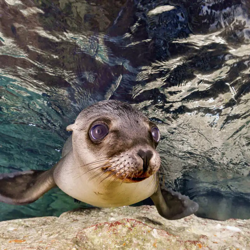 ¿Cómo conseguir el encuadre perfecto?