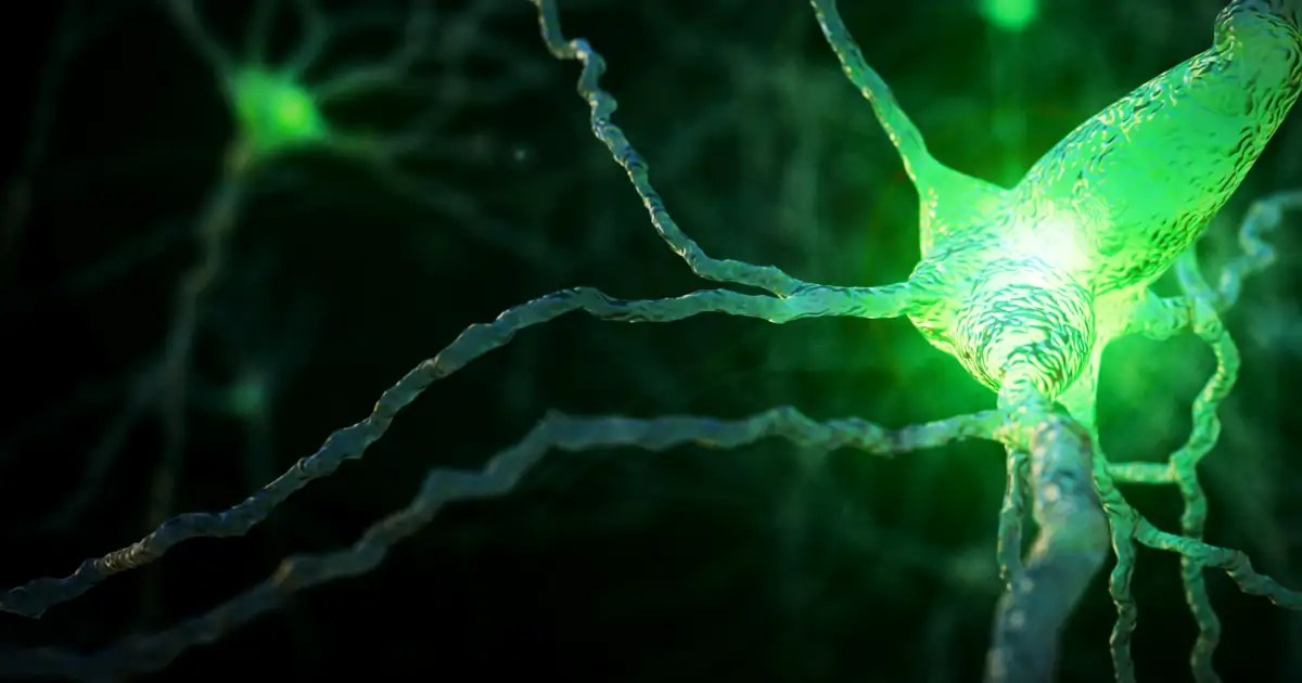 Dormir Bien Para Recordar Mejor Cómo El Sueño Es Fundamental Para Tu