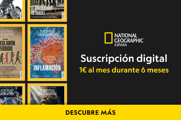 Confirmado por la ciencia: la siesta es buena siempre y cuando se realice así