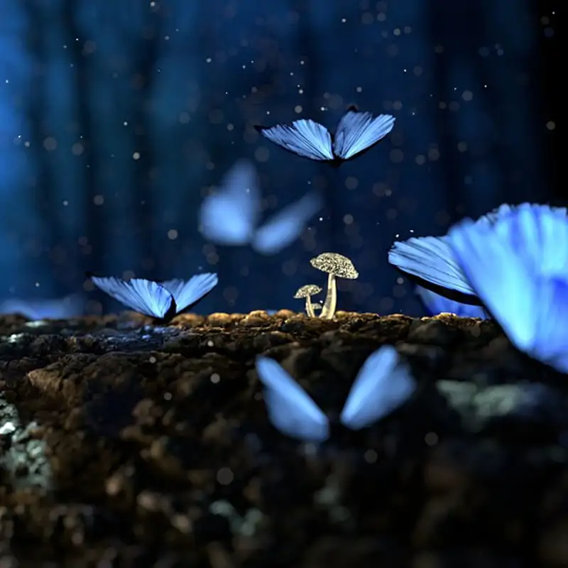Mariposas: fotos, características y curiosidades que te sorprenderán