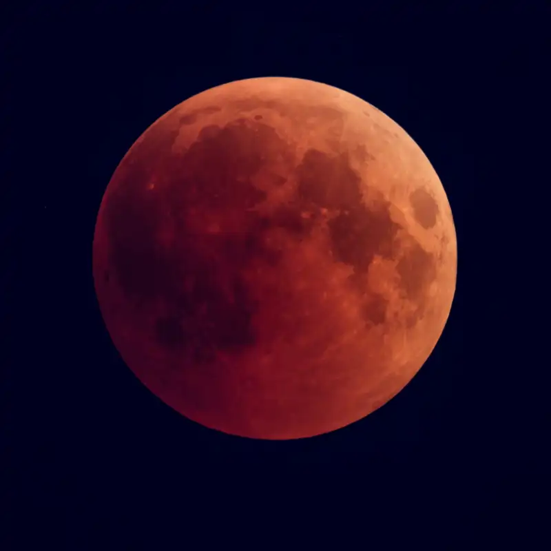 Cómo La Fuerza De Gravedad Afecta Tu Peso En Diferentes Zonas Del Planeta
