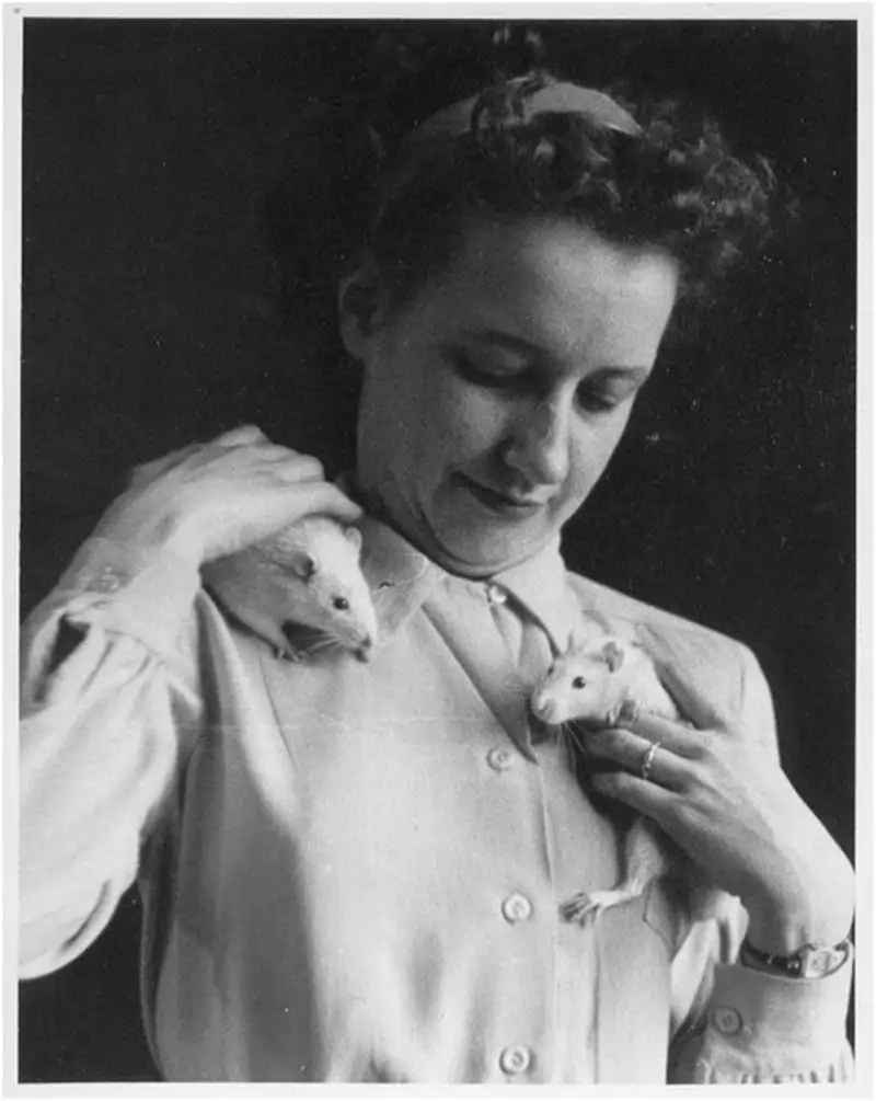 La historia del hombre sin memoria que revolucionó la neurociencia