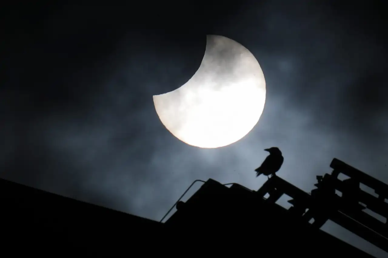 Así será el eclipse solar parcial del sábado 29 de marzo: dónde y cómo verlo en España