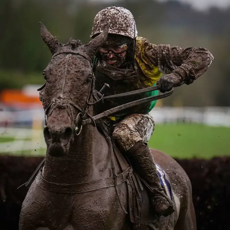 Estas fotos impresionantes son finalistas del Sony World Photography 2025