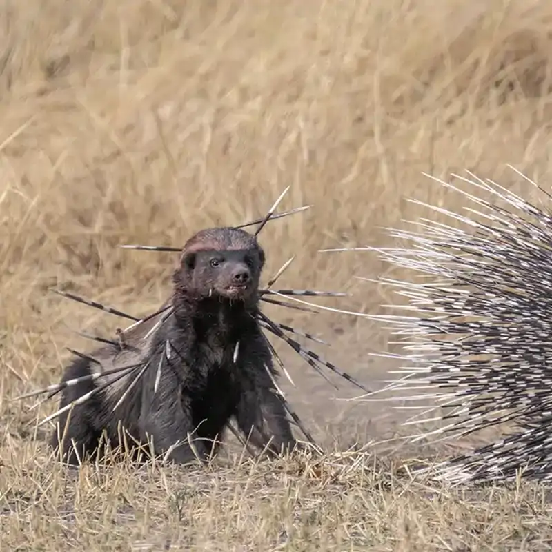 Qué es el diafragma y cómo controlarlo para conseguir las mejores ...