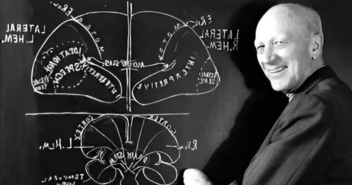 Wilder Penfield, el cirujano que "leyó" la mente con electricidad