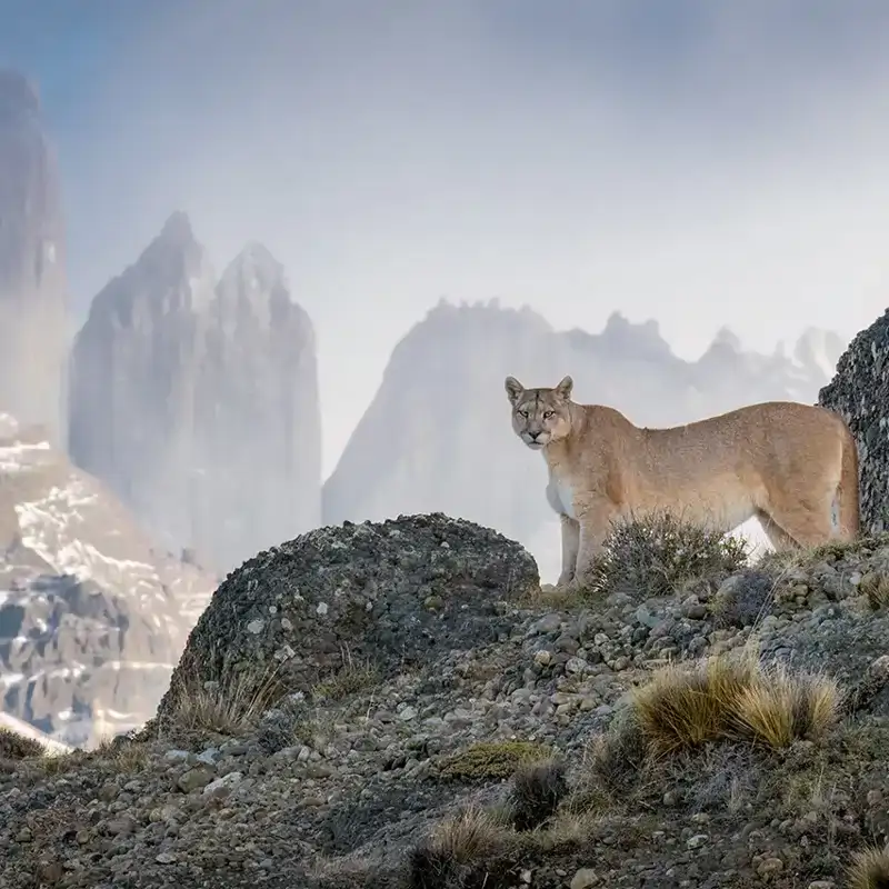 Las fotografías más impresionantes de junio de 2023