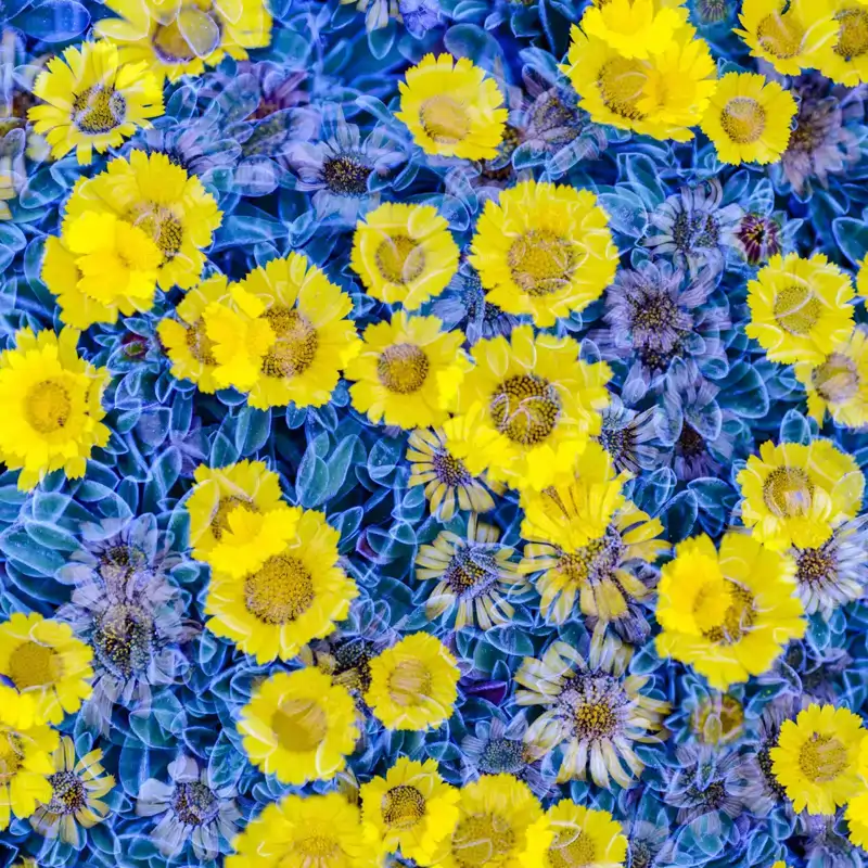 Esta es la imagen ganadora del World Press Photo 2024