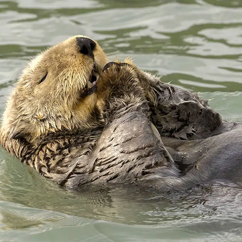 Esta es la imagen ganadora del World Press Photo 2024