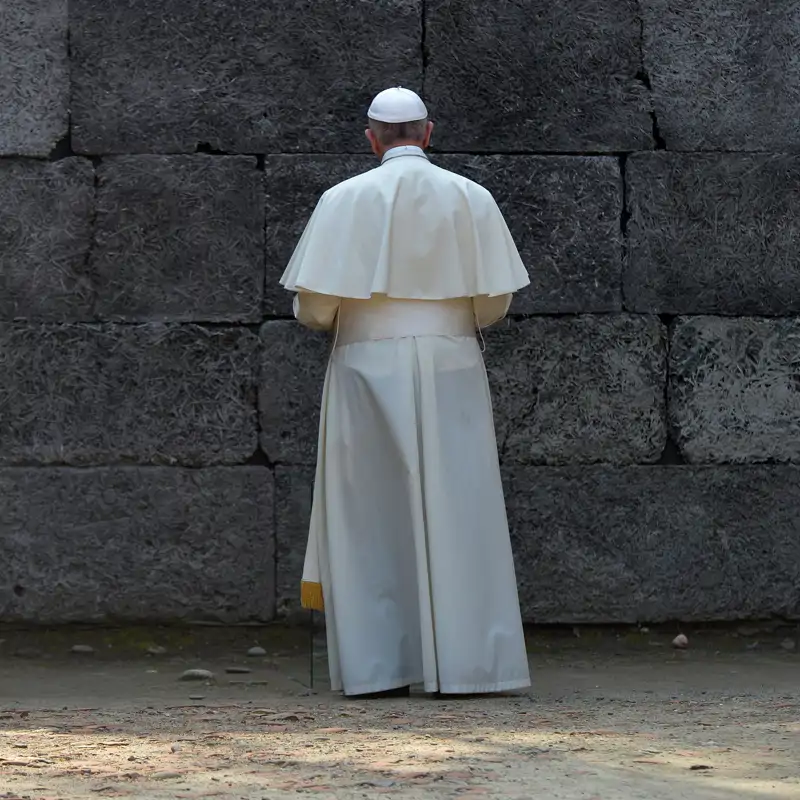 Desde gatos hasta elefantes y rinocerontes: la sorprendente historia de ...