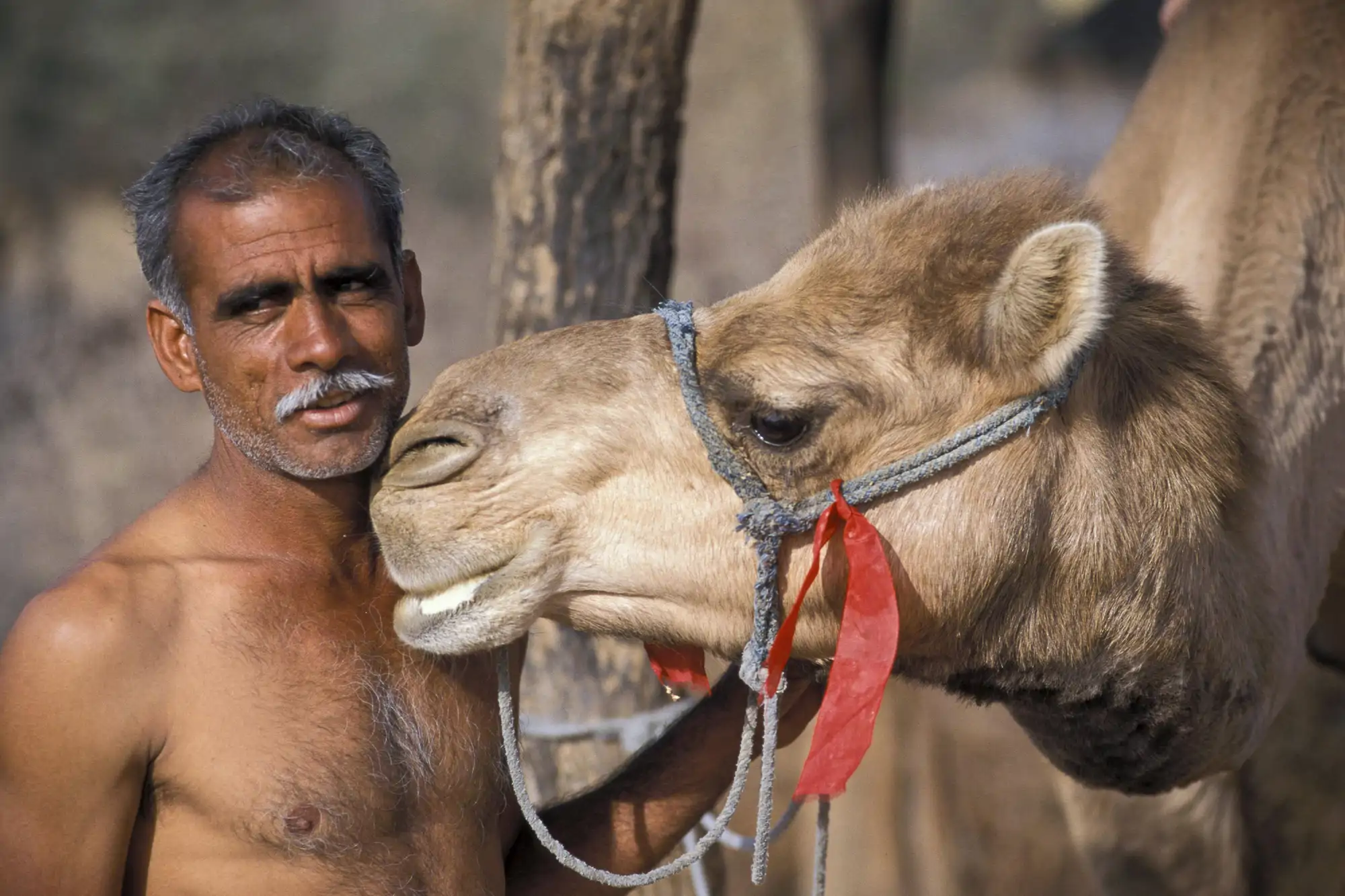 10 increíbles fotografías publicadas en abril en National Geographic