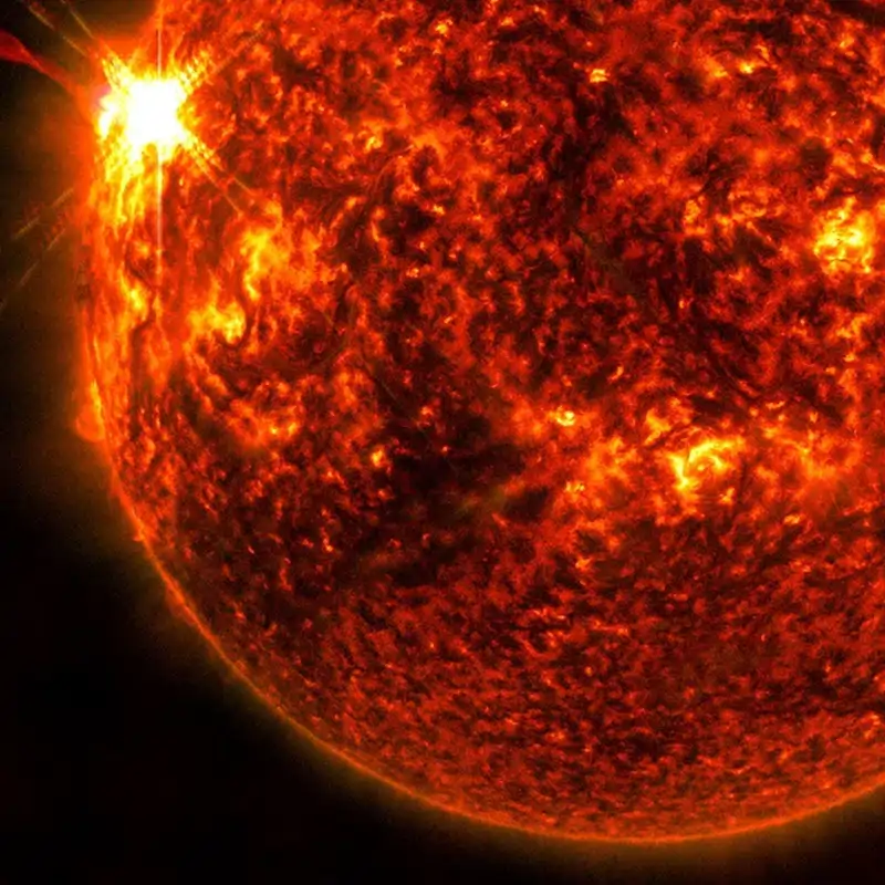 Reportajes, fotos y vídeos de ciencia