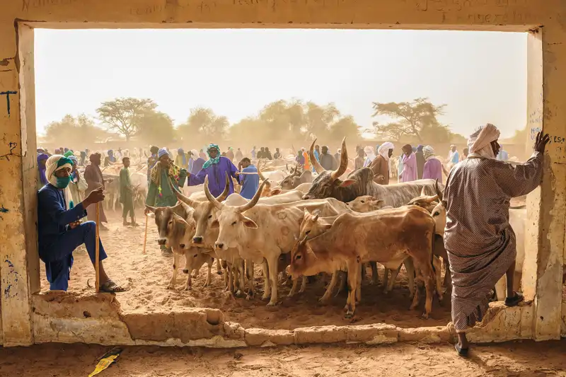 Fulani: el pueblo nómada más grande del mundo