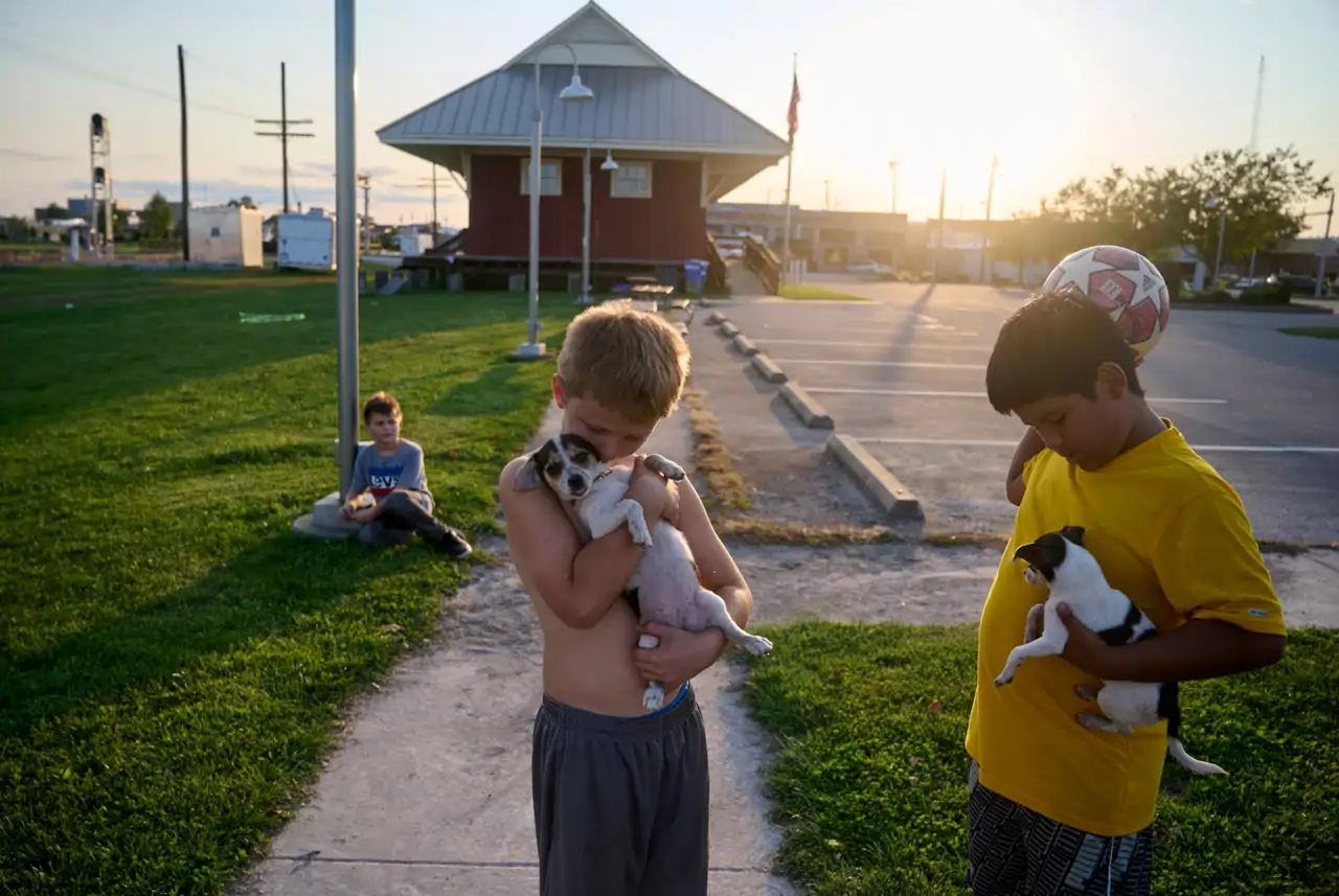 ¿Los perros necesitan a las personas para sobrevivir? La respuesta ...