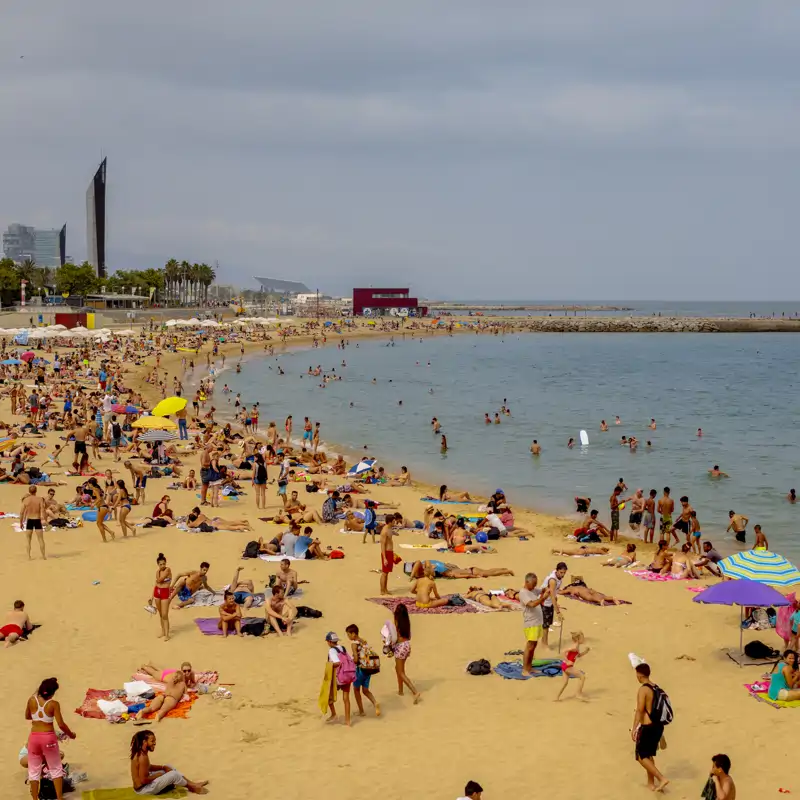 Los wombats y el secreto de la caca cúbica
