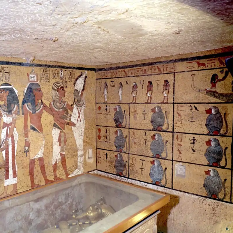 Eric Topol, cardiólogo y uno de los científicos más citados del mundo ...