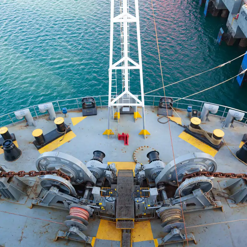 Taxidermia, el arte de disecar animales. ¿Arte o barbarie?