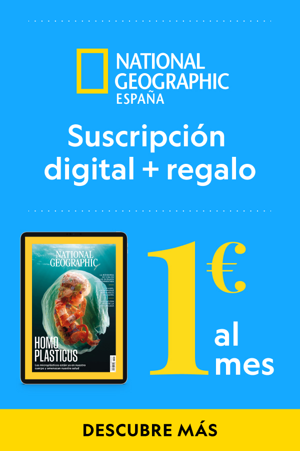 Confirmado por la ciencia: la siesta es buena siempre y cuando se realice así