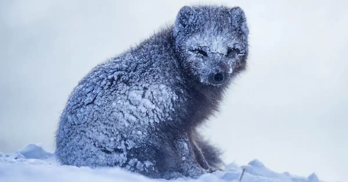 Queen tahshaar porn following a recommendation and went to